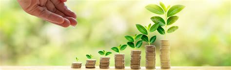 AU Fixed Deposits A Secure Way To Grow Your Savings AU Small Finance