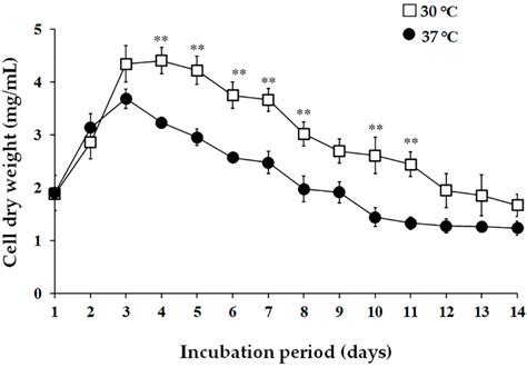 Isolation And Identification Of Bioactive Compounds From Streptomyces Actinomycinicus Pj85 And