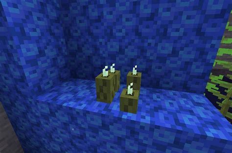 Sea Pickle Block In Minecraft