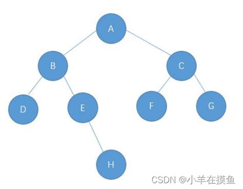 Csdn