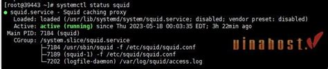 Hướng Dẫn Cài Đặt Squid Proxy Với Ipv6 Trên Vps Thủ Công