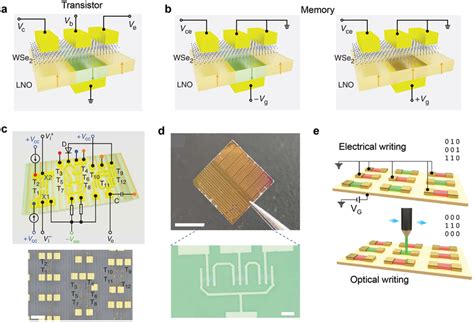 ferroelectric imds ferroelectric gate a b 3d illustration of a download scientific diagram