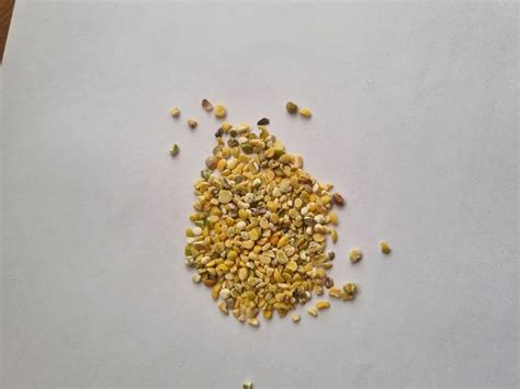 Toor Dal Rejection 50 Kg Pan India At Rs 28kg In Deesa Id