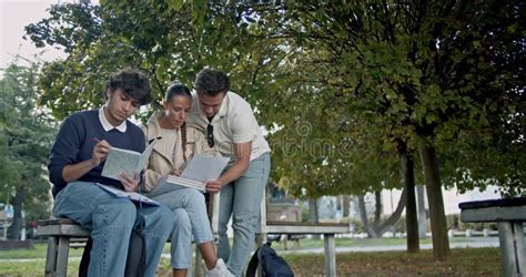 High School Friends Study Together In A Park Collaborating On Homework
