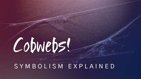 Cobwebs Spiritual Meaning Of Spider Web Cobweb Symbolism Youtube