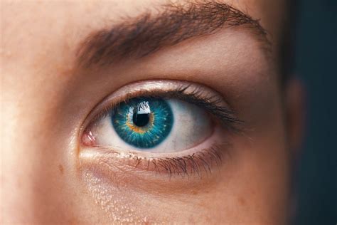 Deep Face Recognition In Python What Is Deep Face By Amit Kumar