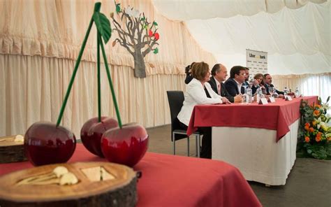 El Cerezo En Flor Privilegio De Extremadura