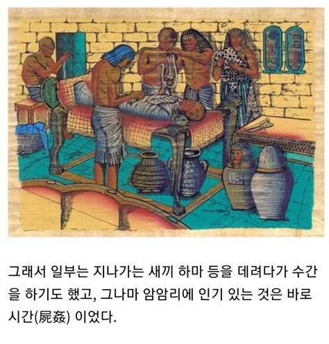 노예의 정액 배출이 금지된 고대 이집트  포텐 터짐 최신순 에펨코리아