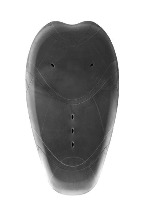 Scl L 19 Back Level 2 Sas Tec Protectors