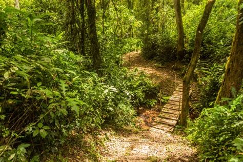 Les 8 Plus Beaux Paysages Du Kenya