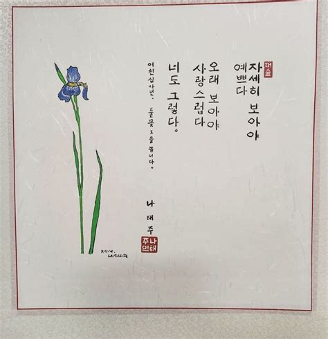 Daum 카페