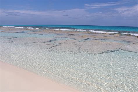 World S Oldest Living Fossils Stromatolites Stocking Island Exuma