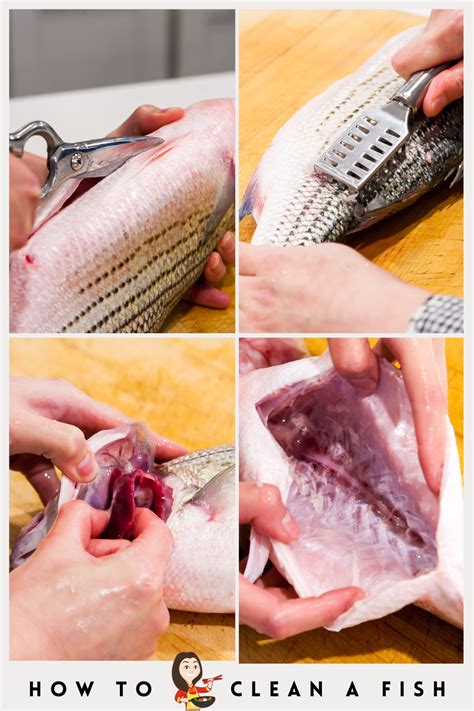 Best 13 How To Professionally Scale Gut And Clean Fish Artofit