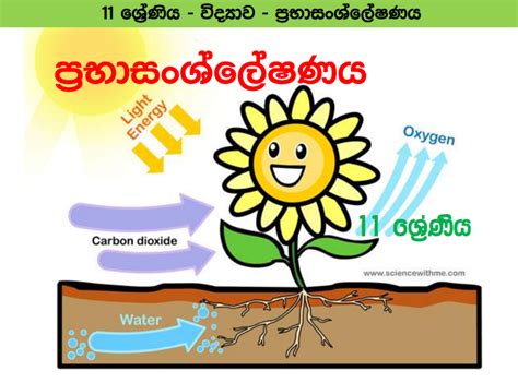 Prabasansleshanaya Short Note Grade Science Lesson