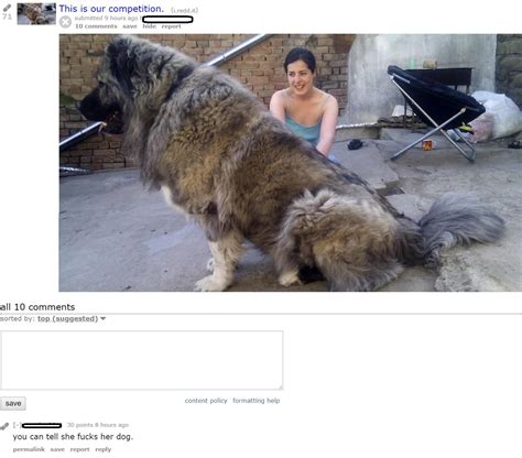 Incels Watching Too Much Beastiality Porn Rinceltears