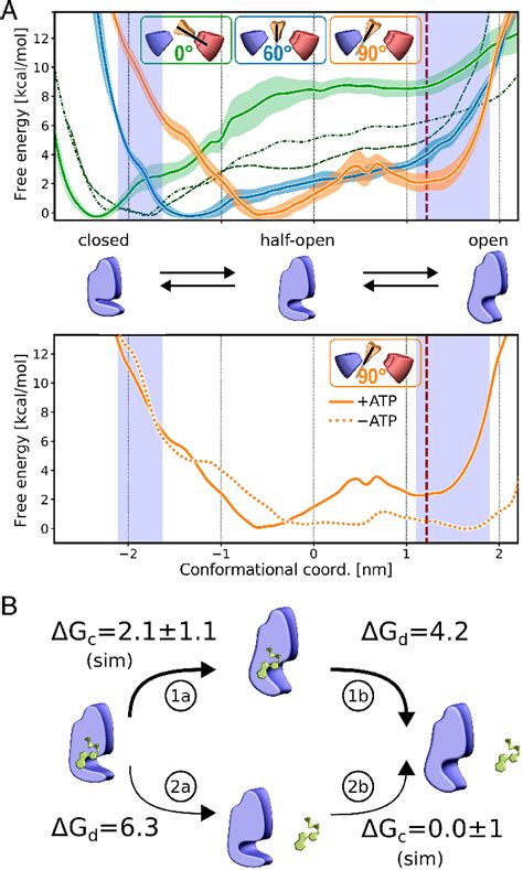 A Free Energy Profile Governing The Conformational Dynamics Of The Download Scientific
