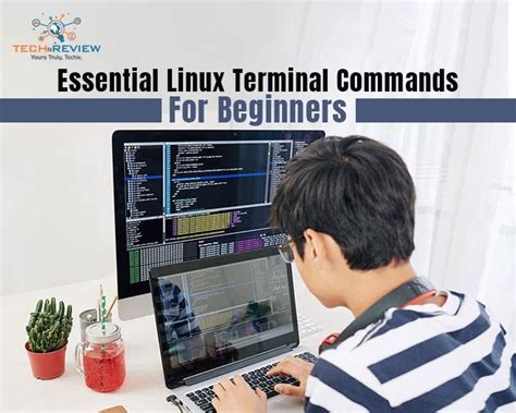 learn linux terminal commands with techtoreview tech to review posted