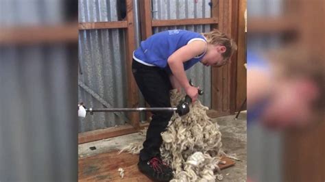 Sid 6 Has His Future Cut Out Nz Herald