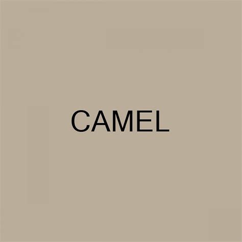 Durasid Camel Pvc 2 Part Edge Trim 3 Metre Length