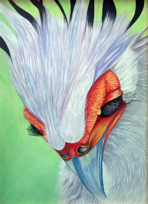 Colorful Brooding Drawing By Bianca Otto Saatchi Art