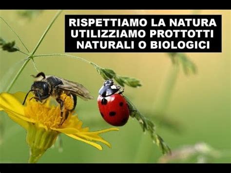 Rispettiamo La Natura Utilizziamo Prodotti Naturali O Biologici Youtube