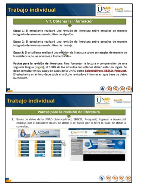 Busqueda Base De Datos Paso 3 Pdf