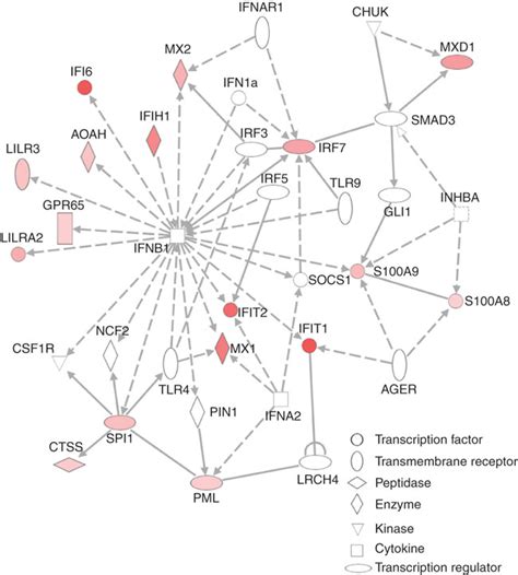 Interferon Response Genes Are Coordinately Upregulated Relative To The Download Scientific