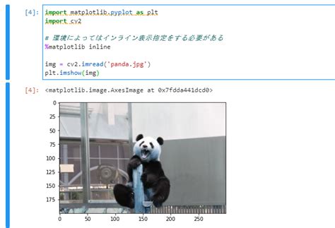 pythonのopencvで画像が表示されない