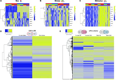 Chronic Adolescent Stress Cas Associated Genes Were Largely Distinct Download Scientific