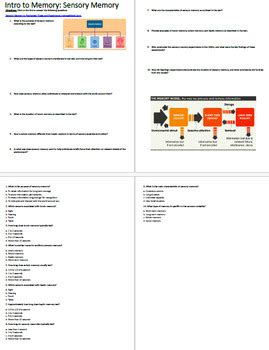 Intro To Sensory Memory WebQuest By Global10 AP Euro World Psychology