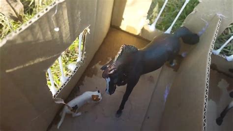 Сериал Приключения лошадок Collecta 1 серия Youtube