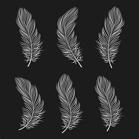 Set Of White Contour Bird Feathers On A Black Background Line Art