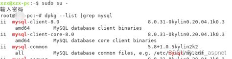 银河麒麟服务器v10 sp1 安装mysql 麒麟v10 sp1 安装mysql csdn博客