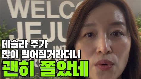 테슬라 6년 장기투자자가 비관적인 뉴스 무시하는 이유 Youtube