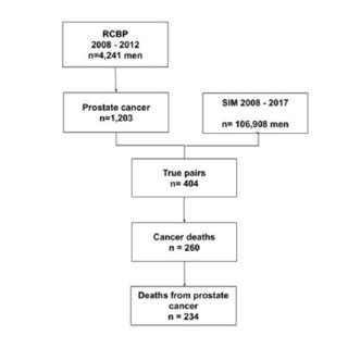 Flowchart Of The Probabilistic Relationship Between Population Based Download Scientific