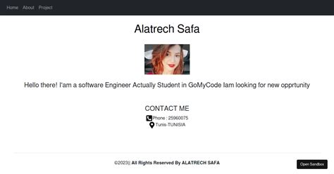 Project Codesandbox