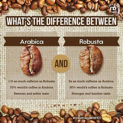 Different Types Of Coffee Drinks Explained Ultimate Guide Artofit