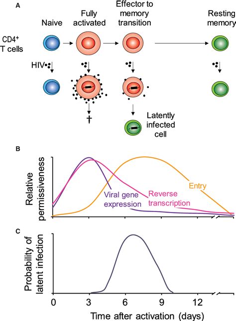 Figure 2 From Targeting The Latent Reservoir For Hiv‐1 Semantic Scholar