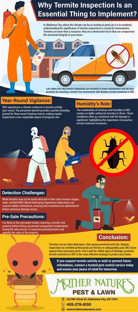Is Termite Control Worth The Investment For Your Home