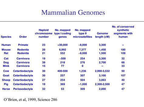 Ppt Computational Comparative Genomics And Genome Evolution Powerpoint Presentation Id 4803667