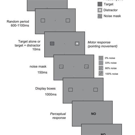 Temporal Sequence Of Stimuli Presentation And Participants Responses