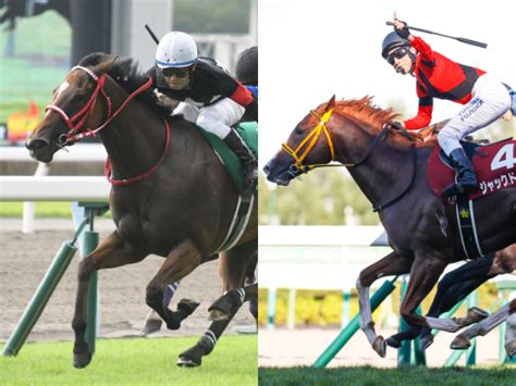 【jra・win5】対象3レース目で16番人気が勝利し的中5票、配当は9370万6710円に 競馬ニュース Netkeiba