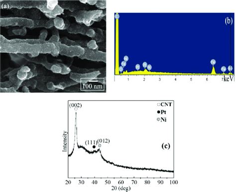 A Sem Image B Edx And C Xrd Patterns Of Ni Pt Mwcnt Download