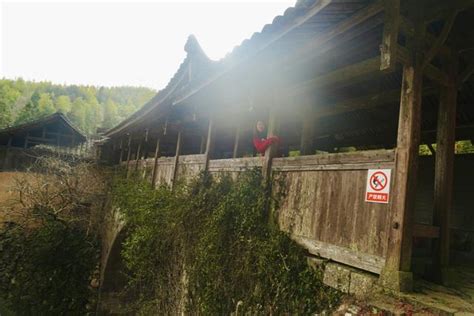 中國廊橋之鄉泰順有15座國保廊橋旗峰橋雖不是國保卻很特別 每日頭條