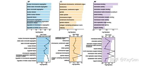 Go富集分析精美图表 知乎