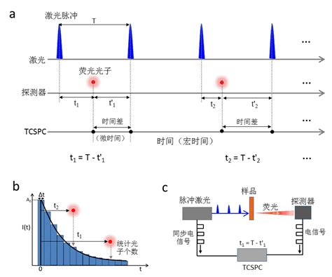 荧光寿命检测中的若干关键问题
