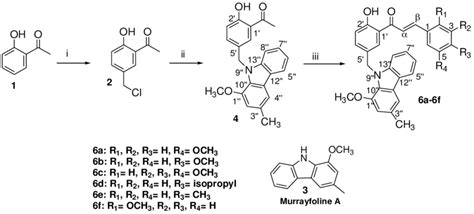 Schemes 1 Preparation Of Download Scientific Diagram