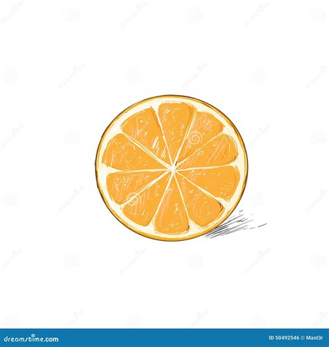 Orange Half Cut Circle Citrus Fruit Color Sketch Stock Vector