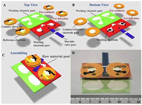 Electrochemical Paper Based Biosensor Devices For Rapid Detection Of