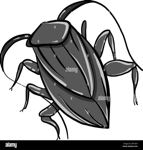 Black Cockroach Illustration Vector On White Background Stock Vector